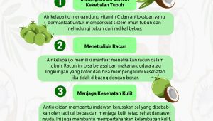 INFOGRAFIS: 5 Manfaat Minum Air Kelapa Ijo untuk Kesehatan Tubuh - Forum Keadilan